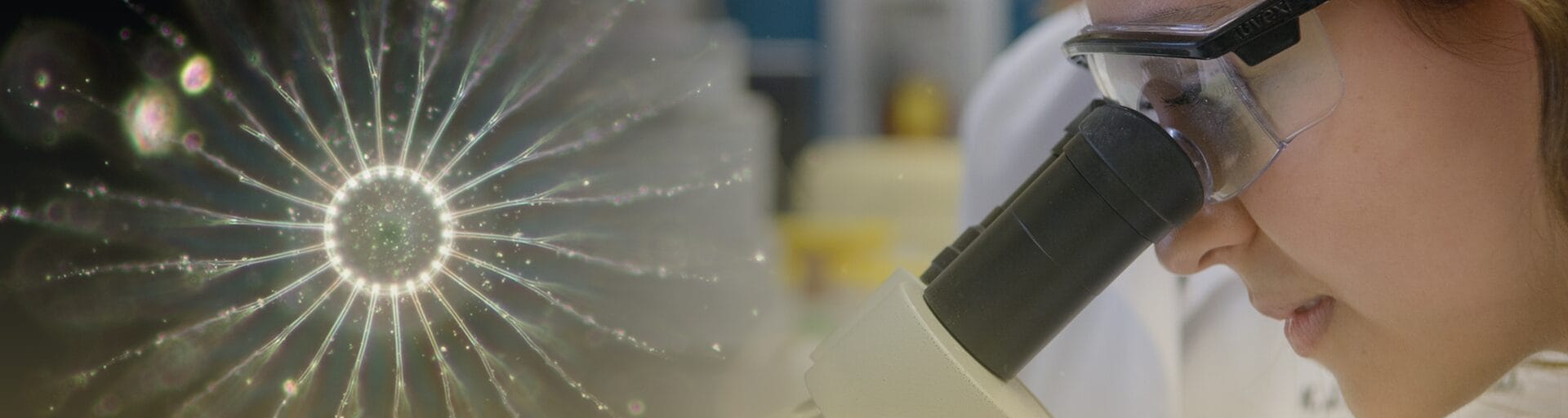 AAAS + ASU Collaborative - Knowledge Enterprise